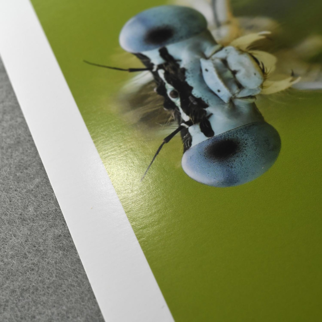 Platinum Baryta 300 Signature Paper - 212 Productions